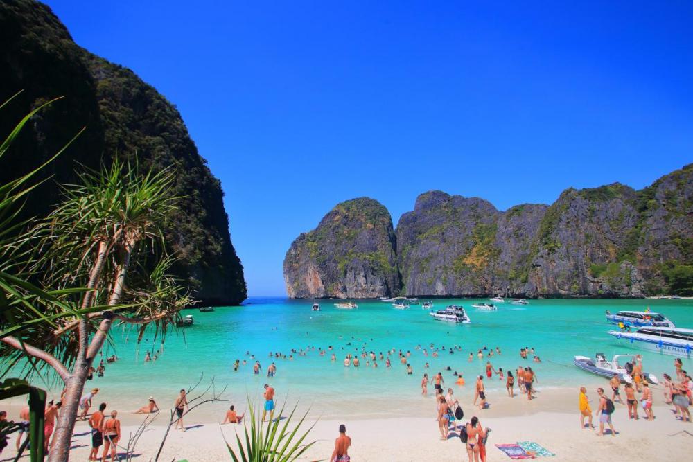 Maya Bay in Phi Phi